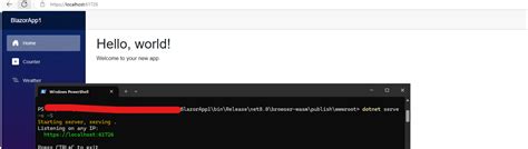How To Make My Blazor Webassembly Project Run From File Folder By