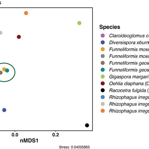 Non Metric Multi Dimensional Scaling Nmds Based On Functional Domain