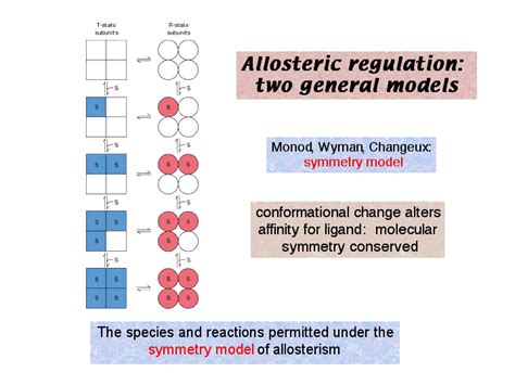 Hemoglobin Sequential And Symmetry Model Chemistryscore