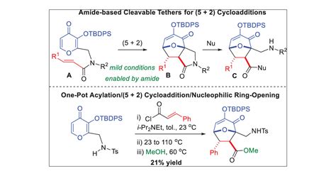 Net Intermolecular Silyloxypyrone Based 52 Cycloadditions Utilizing Amides As Enabling And