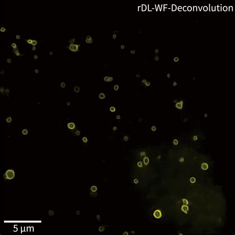 北京纳析光电科技有限公司 DeepInsight 显微图像处理分析软件