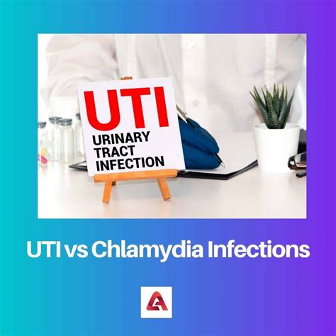 Can A Uti Test Detect Chlamydia At Charli Light Blog