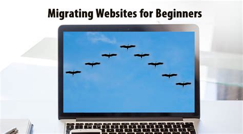 Stress Free Methods To Migrate Your Website To Another Hosting Provider