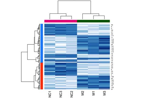 Module 1 Exploratory Data Analysis And Clustering Analysis Using R Module 1 Exploratory Data Analysis And Clustering Analysis Using R