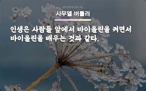 단어의 시작과 끝 명언은 선물 속담사자성어는 덤 On Twitter 인생은 사람들 앞에서 바이올린을 켜면서