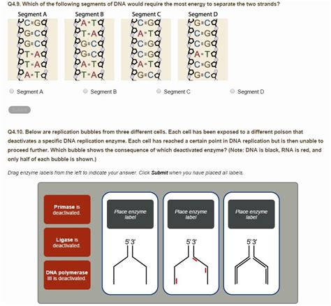Solved Q Below Are Replication Bubbles From Three Chegg Com
