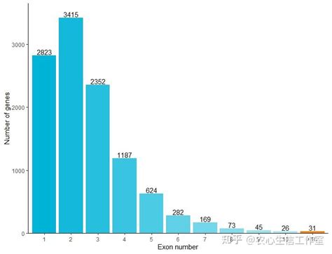 玩转基因组 利用r语言统计外显子数量和基因长度并可视化 知乎