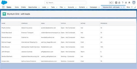 Using Bryntum Grid As A Salesforce Lightning Web Component Bryntum