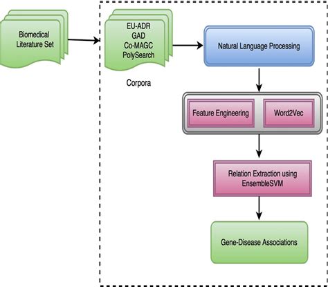 Schematic Architecture Of The Gene Disease Relation Extraction System Download Scientific