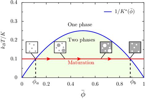 Color Online Phase Diagram Of A Binary Mixture Undergoing Chemical
