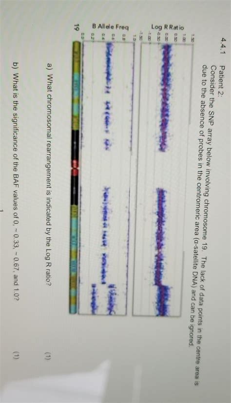Example Patient The SNP Array Below Is An Example Chegg Com