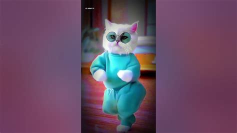 Funny Cat Dance Cat Dance Video Short Video Treding Song Youtube