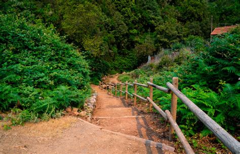 El Cabildo Desactiva El Plan De Emergencias Insular Y Reabre La Red