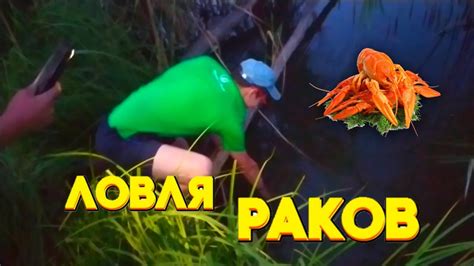 Ловля раков | ставим раколовки - YouTube