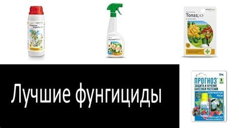 Зачем нужны фунгициды