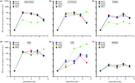 Gene Expression Analysis During Sgbs Cellular Differentiation Legend