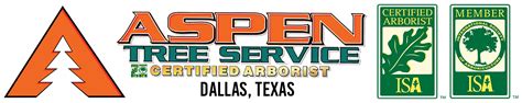 Tree Service Wylie TX Trimming Near Me Aspen Tree Service Tree Service Wylie TX Trimming Near Me Aspen Tree Service