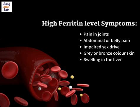 What Is An Elevated Ferritin Level At Beverly Kiker Blog