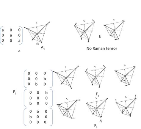 Raman Academy Read Horiba