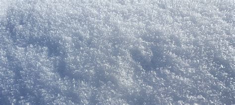 무료 이미지 감기 하늘 화이트 햇빛 서리 얼음 날씨 신선한 얼다 푸른 시즌 배경 시원한 쌀쌀한 번쩍이는 눈보라 고드름 결정 상쾌한