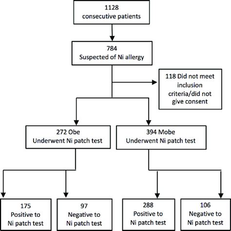 Flowchart For Calculating Bmi