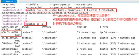 强力的应用容器引擎 docker的资源控制 docker 隔离cpu资源 csdn博客
