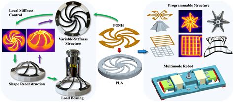 The Polylactic Acid Pla Structure Was Prepared Using Fused Deposition