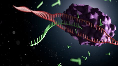 Chemilybio The Leading Supplier Of Bulk Quantities Of Mrna And