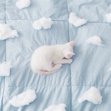 Aesthetic Baby Baby Blue Blue Cute Image 4383795 By Tschissl On Favim Com