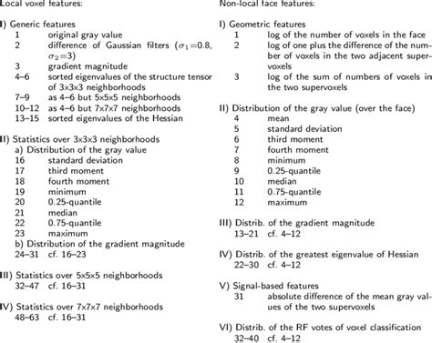Features Used For Classification Left Local Features For Voxel Download Table