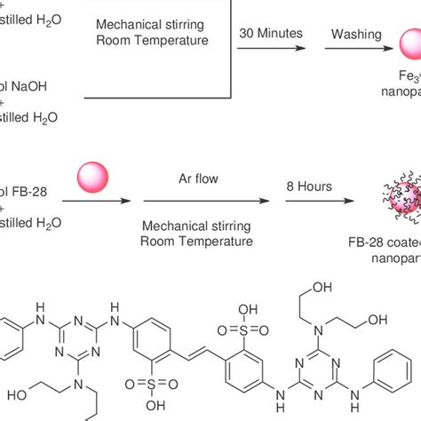 Schemes For A Synthesis Of Fe 3 O 4 Nanoparticles And B Surface