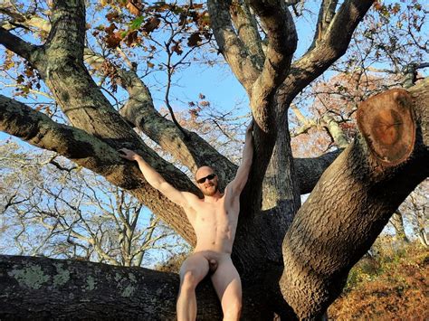 Naked In A Tree Scrolller