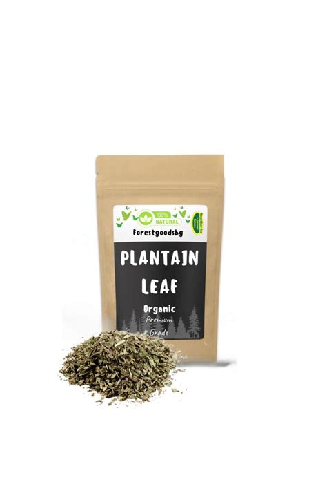 Organic Plantain Leafplantago Majorherbal Tea And Remedy Herb For