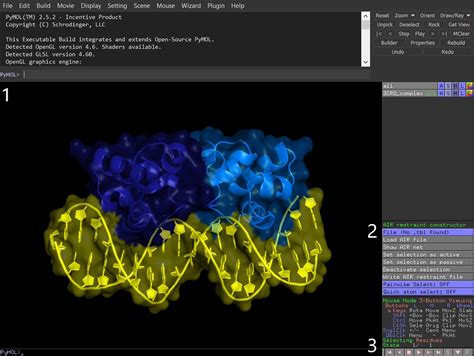 Protein Dna Docking Using Haddock High Ambiguity Driven Docking