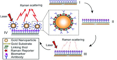A Sers Based Immunoassay For Biomarker Quantification I
