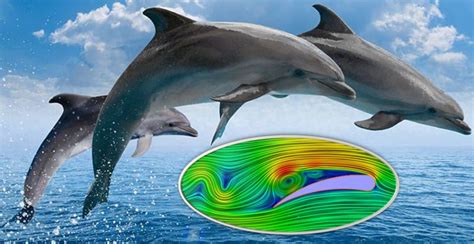 Erke Wang On Linkedin Computational Fluid Dynamics Simulation