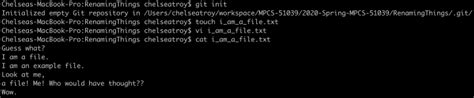 Question How Does Git Detect Renames Chelsea Troy