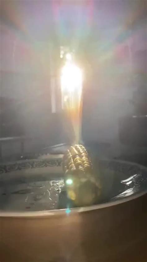 Corn In The Sun Album On Imgur