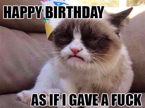 Grumpy Cat With A Birthday Hat