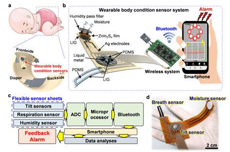 Conceptual Illustration Of The Multimodal Flexible Sensor System For Download Scientific