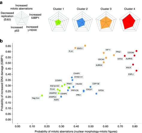 Identification Of Phenotypic Similarity Groups By Computation Based