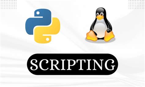do any bash shell or python scripting assignments projects by zain425 fiverr
