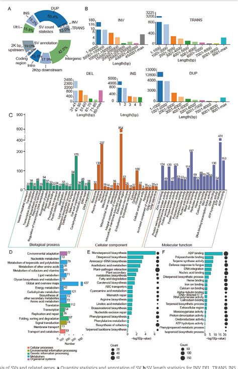 Figure 3 From A Haplotype Resolved Gap Free Genome Assembly Provides Novel Insight Into