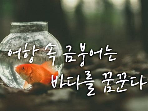 청춘의 공감 이야기 텀블벅 크리에이터를 위한 크라우드펀딩