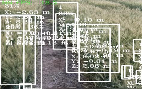 Figure 14 From A Spatial Ai Based Agricultural Robotic Platform For Wheat Detection And