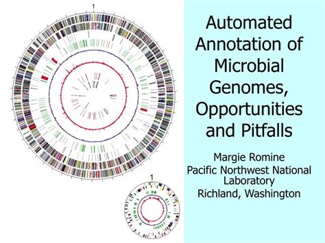 Ppt Automated Annotation Of Microbial Genomes Opportunities And