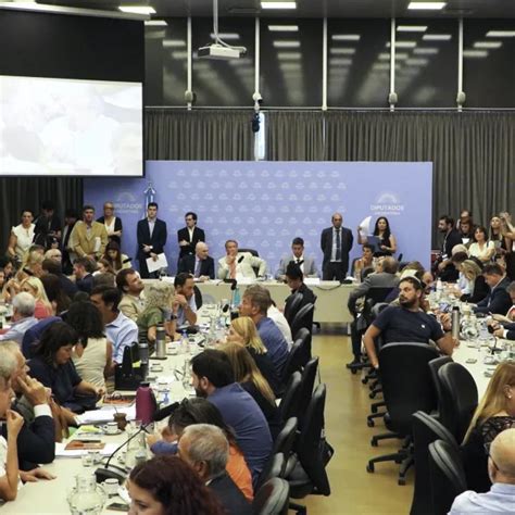 El Gobierno Consiguió El Dictamen Para Suspender Las Paso Se Tratará