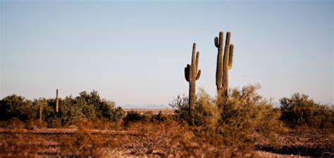 Sage 200 Amazon Marketplace Integration A Guide To Boosting Your Business In The Us Storehub