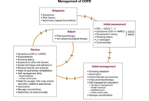 Management Of Copd Cat Copd Assessment Test Copd Chronic Obstructive Download Scientific