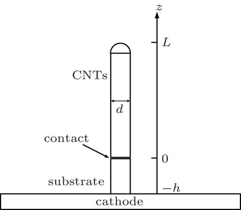 schematic diagram of the cnt structure download scientific diagram